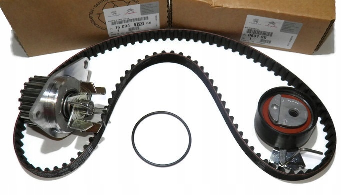 Peugeot OE 1610793280 rozrząd pompa za 393.39PLN z Sulejówek - Allegro ...