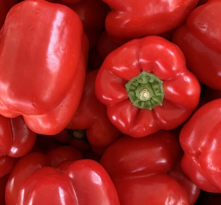 Papryka czerwona Chouca sadzonka w doniczce P9! • Cena, Opinie ...