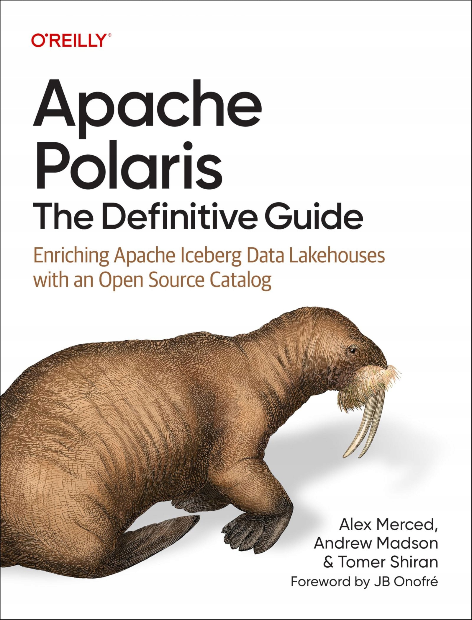 Apache Polaris - The Definitive Guide Tomer Shiran (18138362919) | Książka Allegro