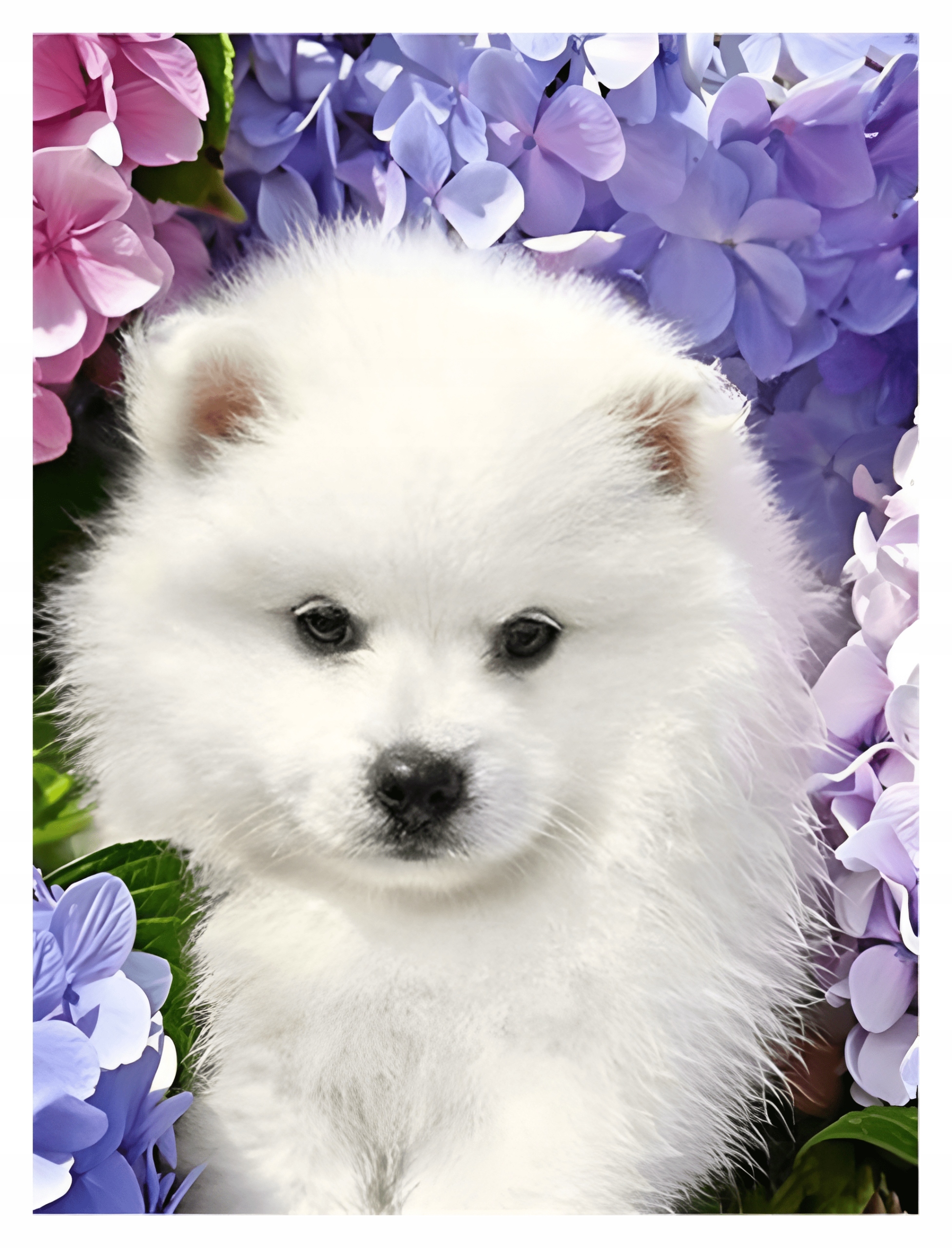 HAFT DIAMENTOWY DIAMOND PAINTING MOZAIKA DIAMENTOWA OBRAZ WYKLEJANKA ...