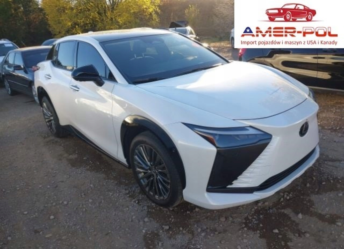 Lexus RZ 450E Luxury 2023 Elektryczny 308KM - Allegro