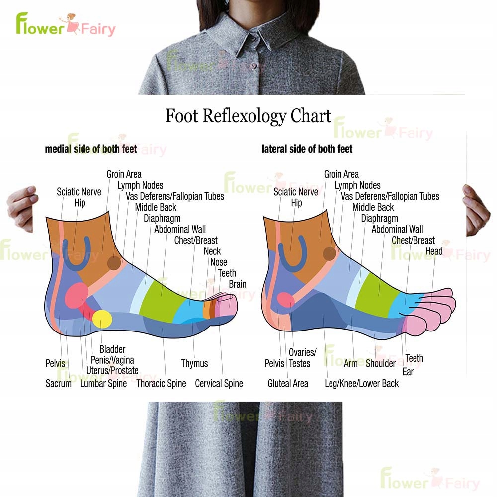 Foot Reflexology Chart Ear Hand Face Posters 15574033734 - Allegro.pl