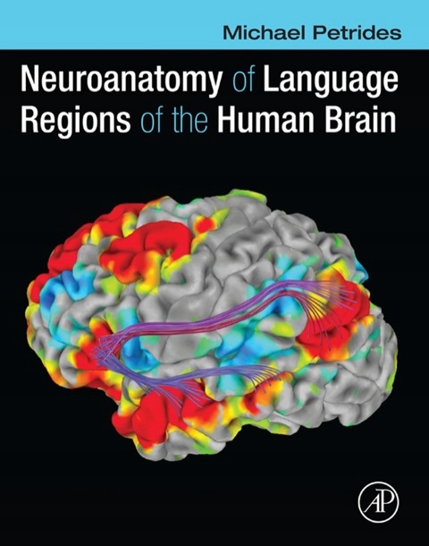 Neuroanatomy of Language Regions of the Human Brai (9665487522) | Ebook Allegro