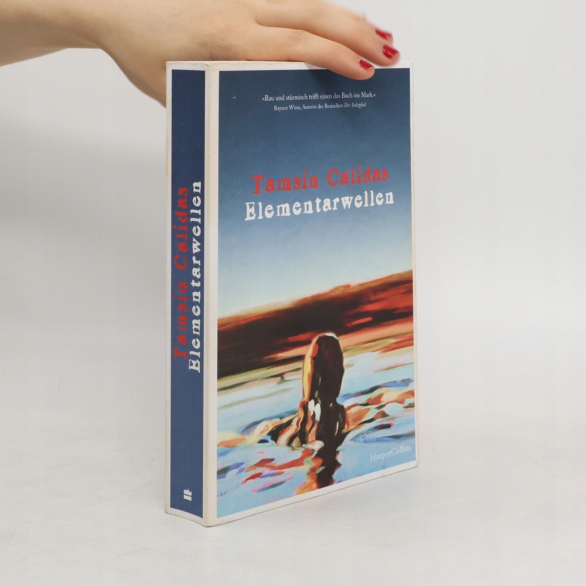 Elementarwellen: Rau und stürmisch trifft einen das Buch ins Mark ...