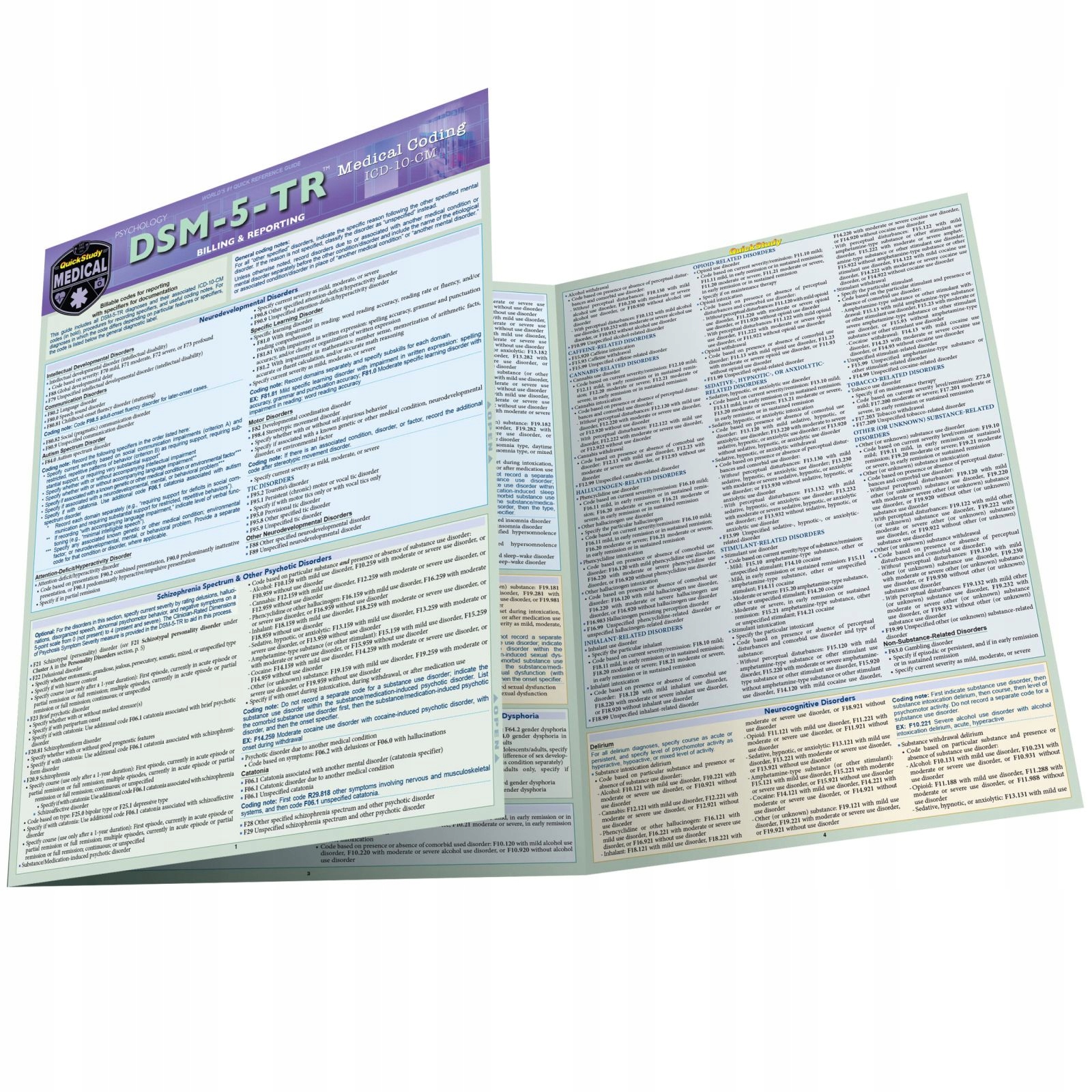 DSM-5-TR MEDICAL CODING: A QUICKSTUDY LAMINATED REFERENCE GUIDE - Rona Bern (17777013786 ...