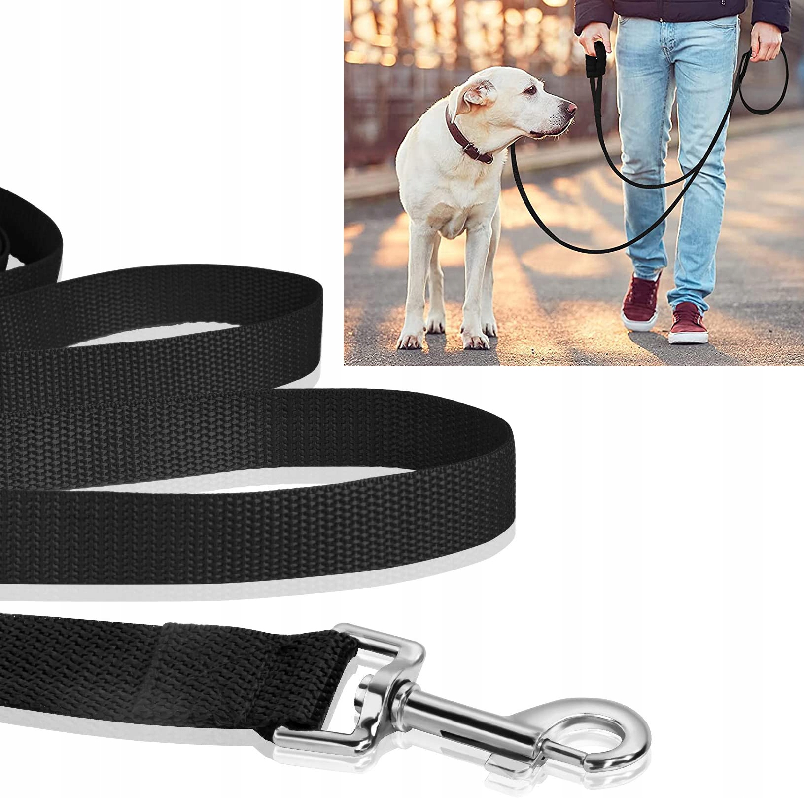 Самый сильный поводок для собак 10M Long Training 50 купить в Украине ...