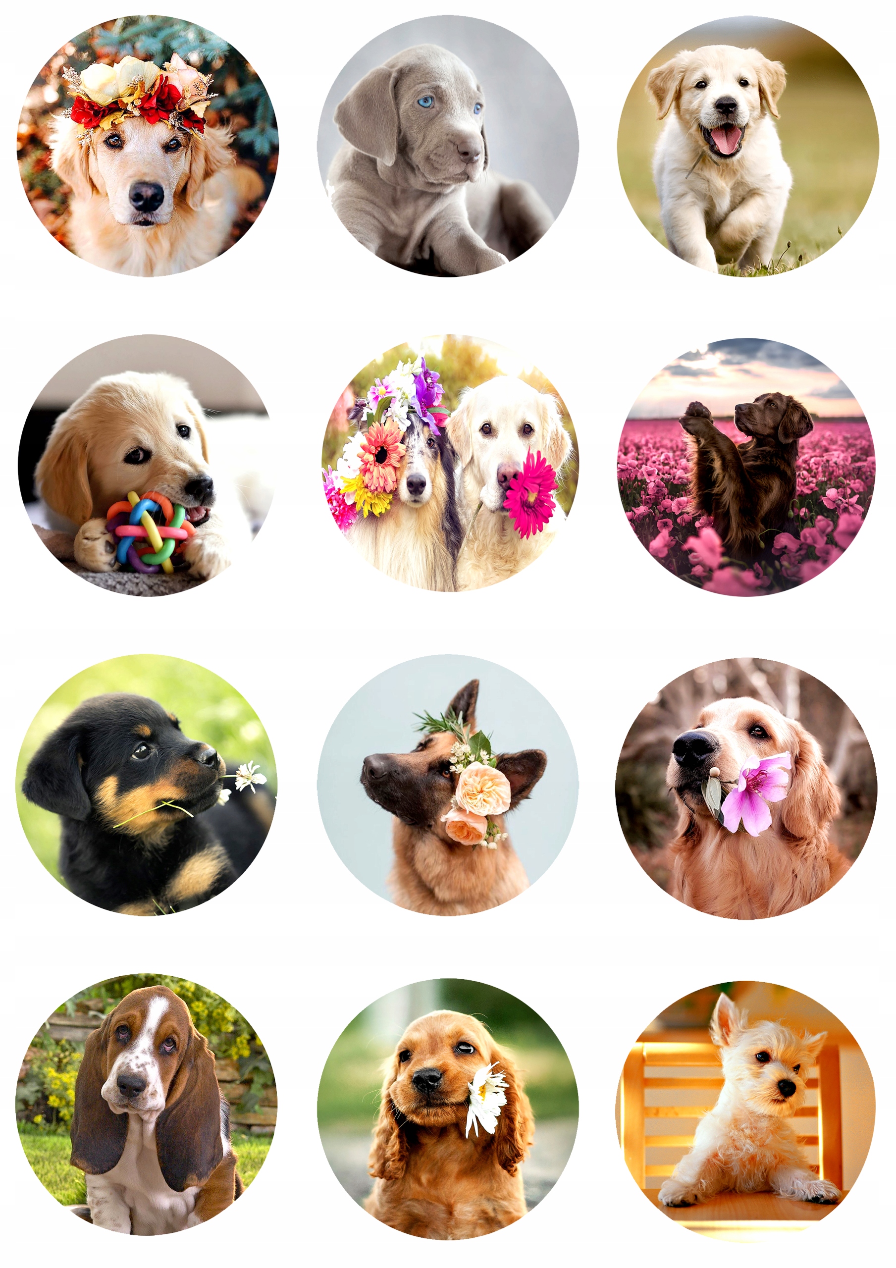 OPŁATEK NA MUFFINKI PIES PIESEK PIESKI 12 SZT 13303387275 - Allegro.pl