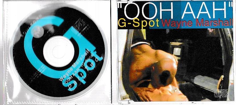 Płyta CD Wayne Marshall - G Spot (Ooh Aah) ___________________________ 13903646030 - Sklepy ...