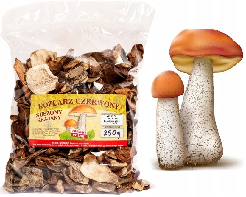 KOŹLARZ CZERWONY KROJONY 250g NOWY ZBIÓR 2025 PL Atest grzyby suszone ...
