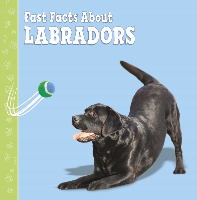 Fast Facts About Labradors Marcie Aboff - porównaj ceny - Allegro.pl