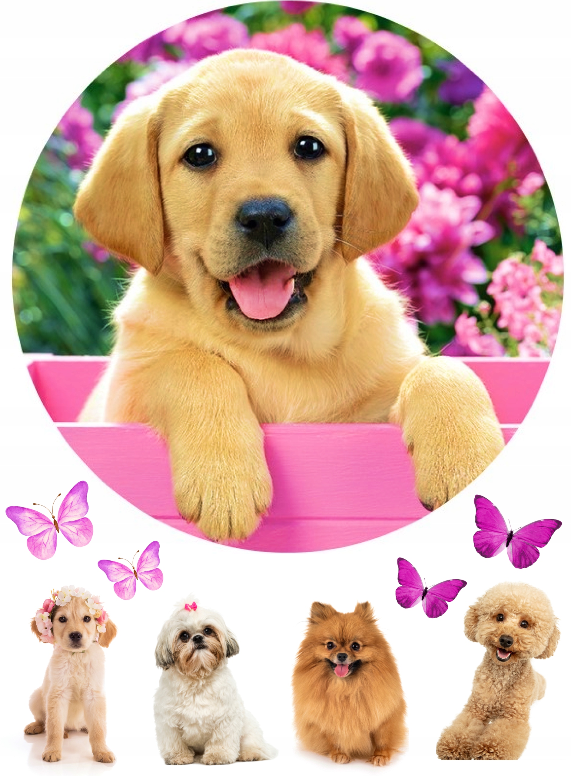 OPŁATEK NA TORT PIES PIESEK + PIESKI + NAPIS (5905575061102) • Cena ...