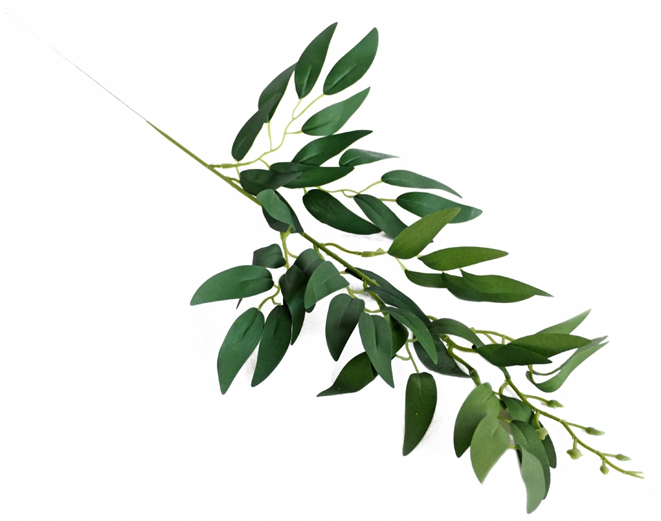 RUSKUS LIŚCIE ZIELONE GAŁĄZKA DEKORACYJNA PIK 60cm (RUSKUS LIŚCIE ...