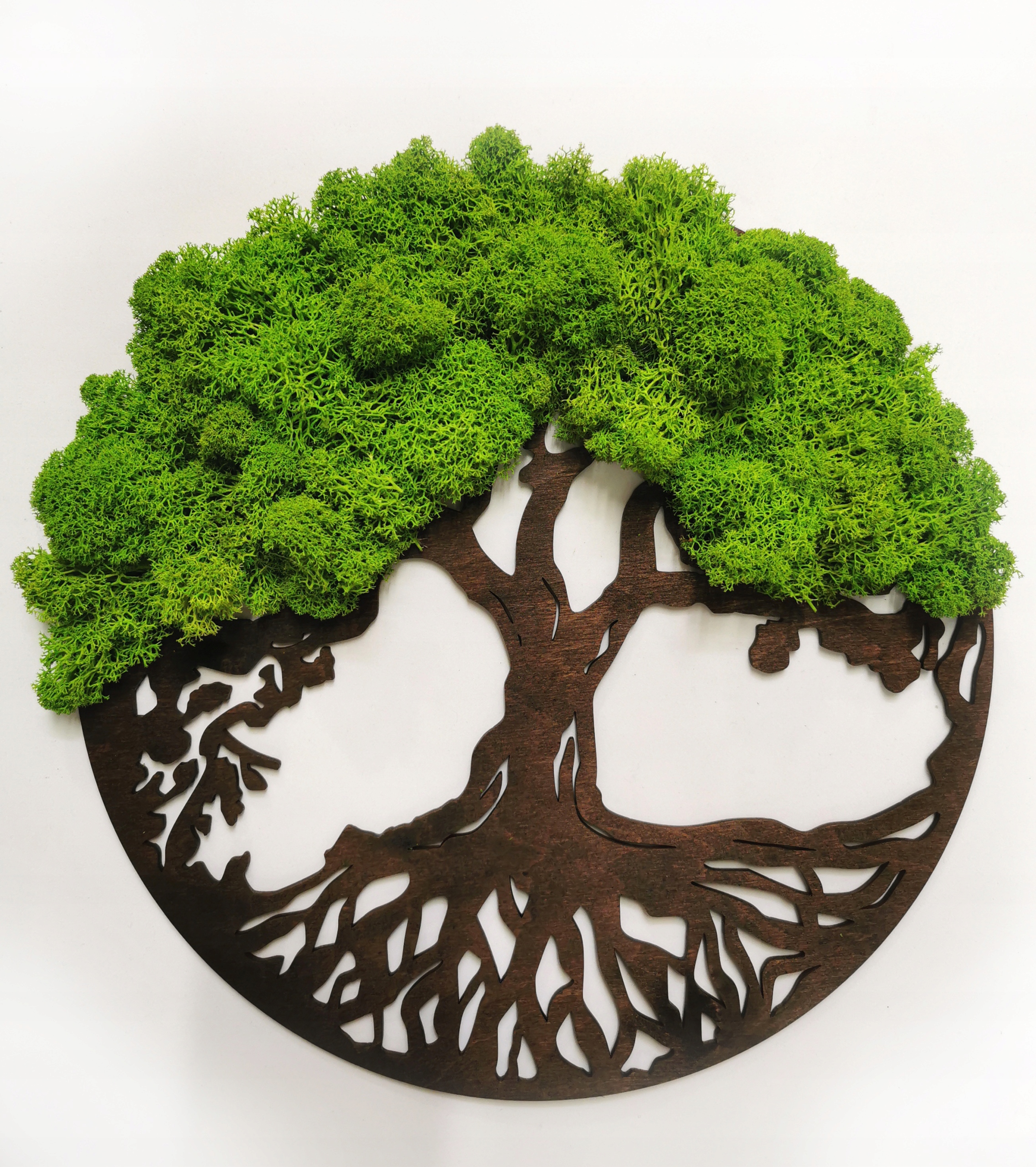 ÉLETFA KÉP MOHÁVAL DÍSZÍTVE, RÉNZSÁMOHÁVAL, 30CM, (0651814803228) • Ár ...