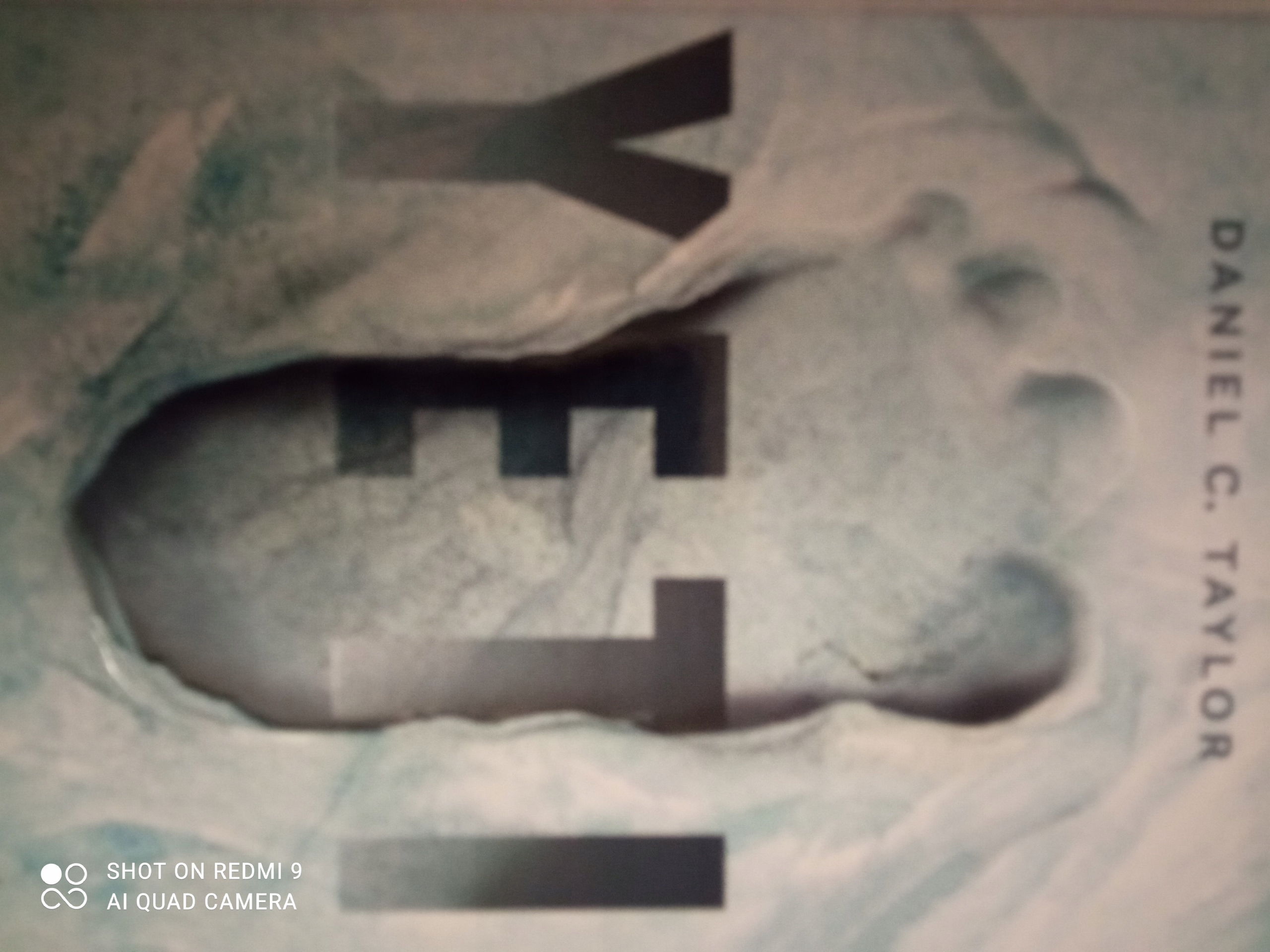 Yeti Daniel C. Taylor - porównaj ceny - Allegro.pl