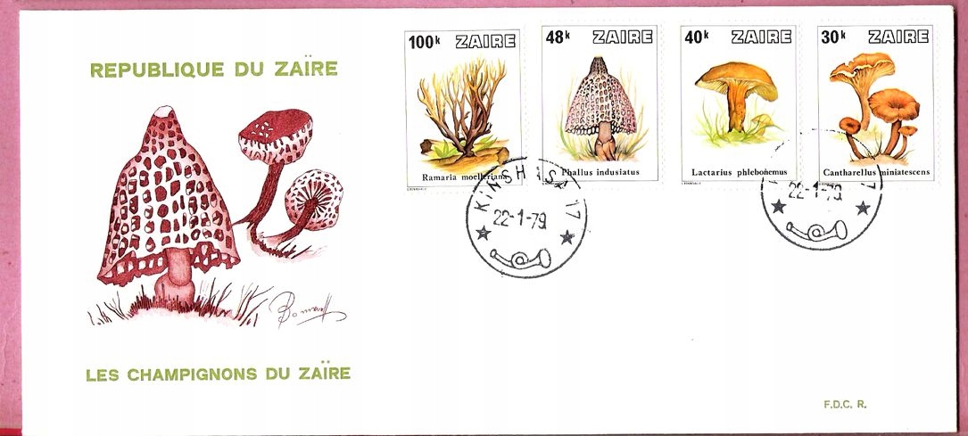 Zaire d.Congo 1979, FDC 4zn. grzyby • Cena, Opinie • Tematyczne 17781351038 • Allegro