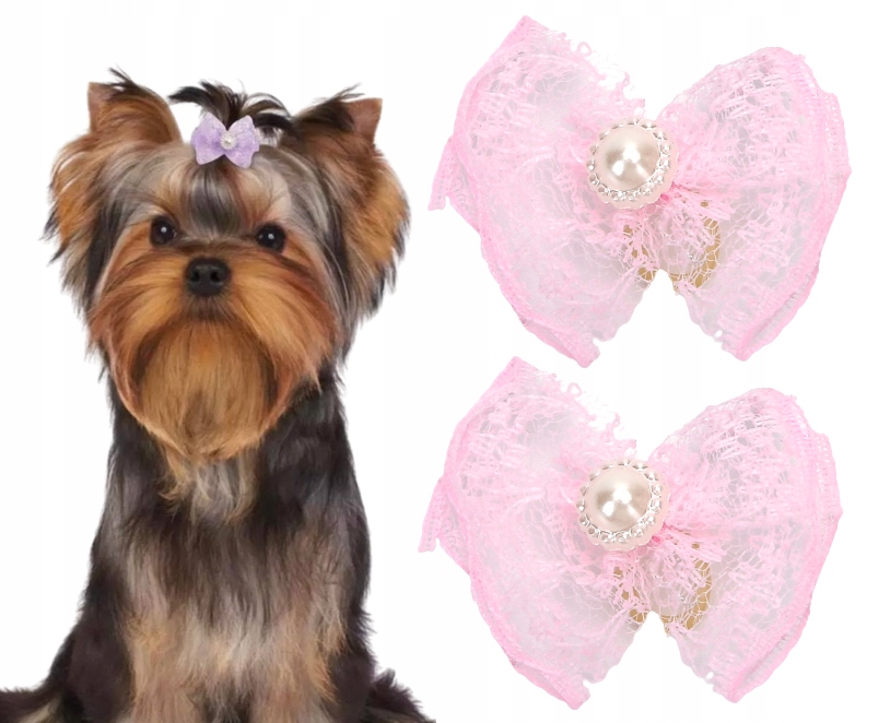 GUMKA KOKARDKA DLA PSA GUMKI YORK MALTAŃCZYK 2 SZT (8719138043842 ...