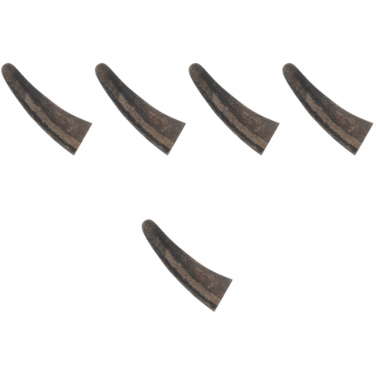 Rogi Krowy - Niska cena na Allegro.pl