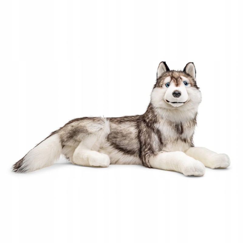 PLYŠÁK MASKOT PSÍK HUSKY 71CM - Allegro