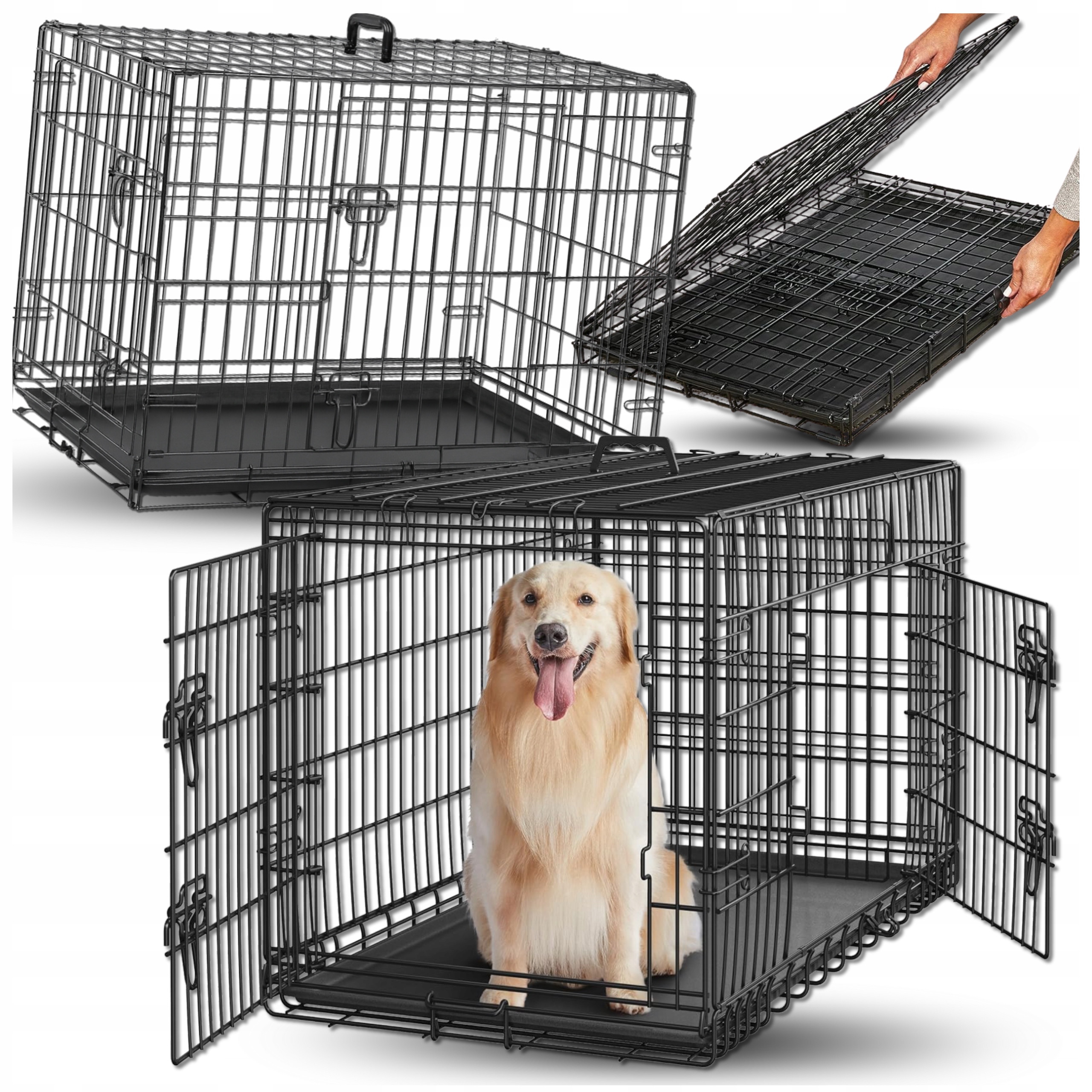 Kölyök Kutya Kennel - Alacsony ár az Allegro