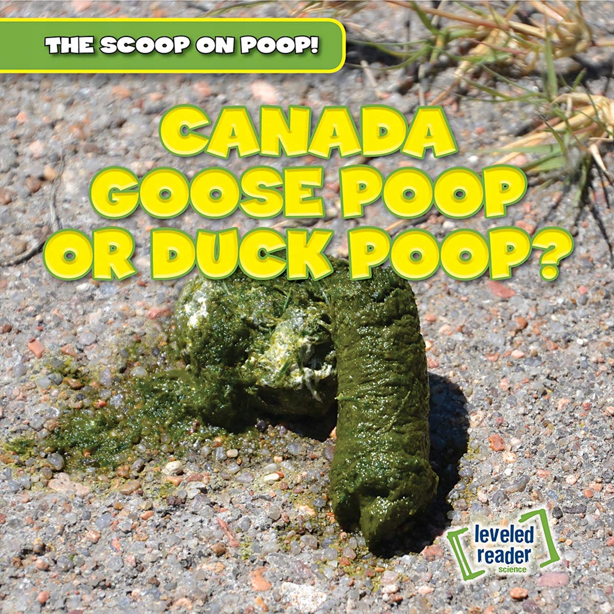 Canada Goose Poop or Duck Poop? Colin Matthews Książki dla dzieci ...