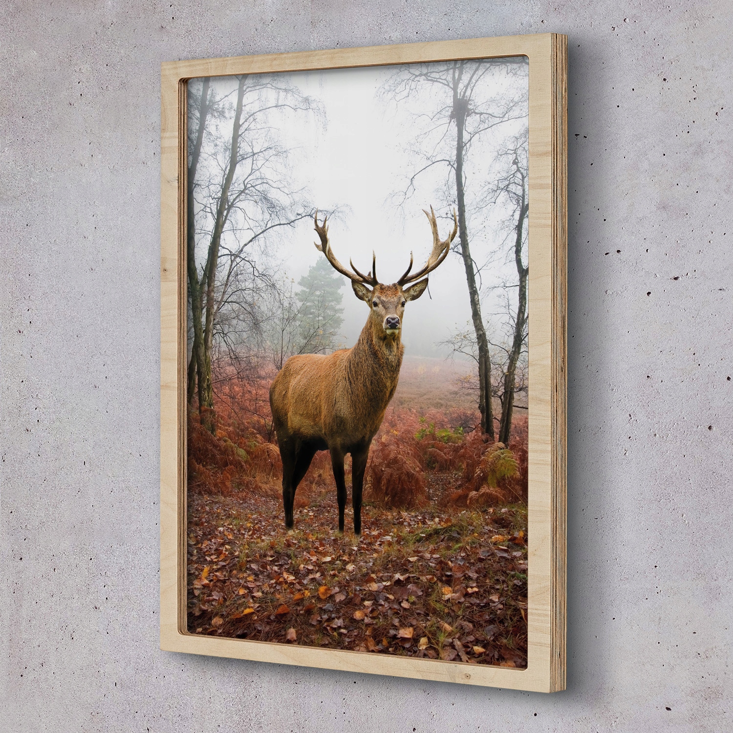 Fali kép kerettel - Szarvas, erdő, ősz, 55x75 cm, • Ár, Vélemények ...