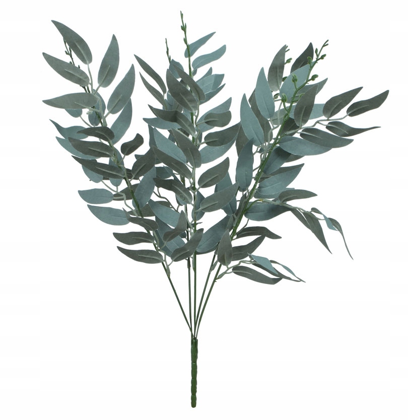 Ruskus bukiet liści pudrowy zielony do kompozycji (do wiązanek bukietów ...