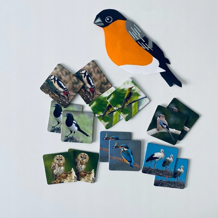 Gra planszowa Ptaki Polski Memory Kolorowa Edukacja Wydawnictwo RM ...