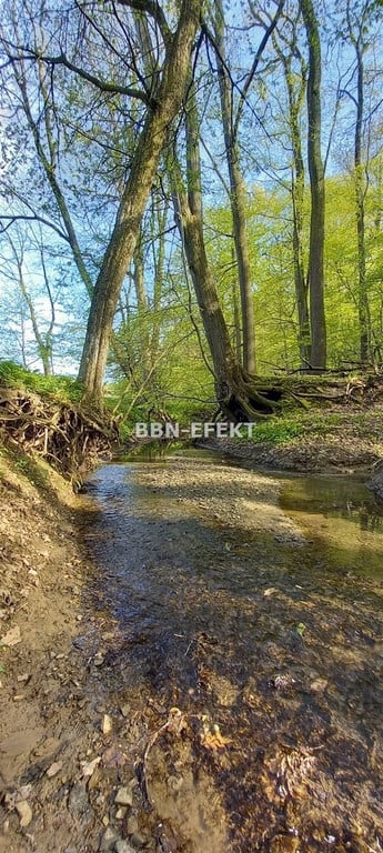 Działka, Wiślica, Skoczów (gm.), 14563 m² Wiślica - Pow. cieszyński ...