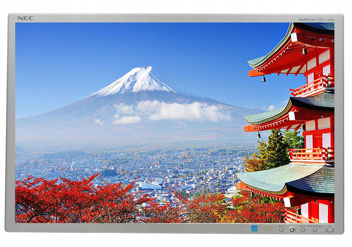 Monitor Nec Multisync Ea221wme - Niska cena na Allegro.pl