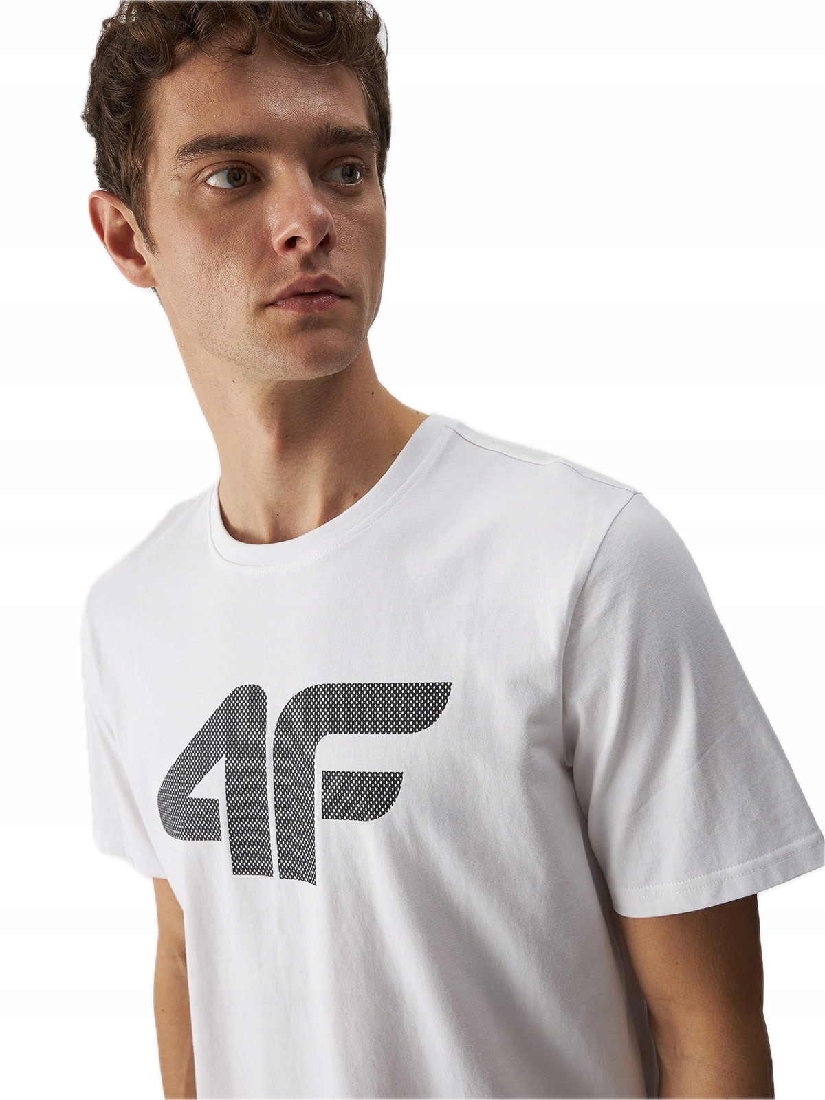 T-shirt męski okrągły dekolt 4F rozmiar 3XL (5905700009177) • Cena, Opinie • T-shirty ...