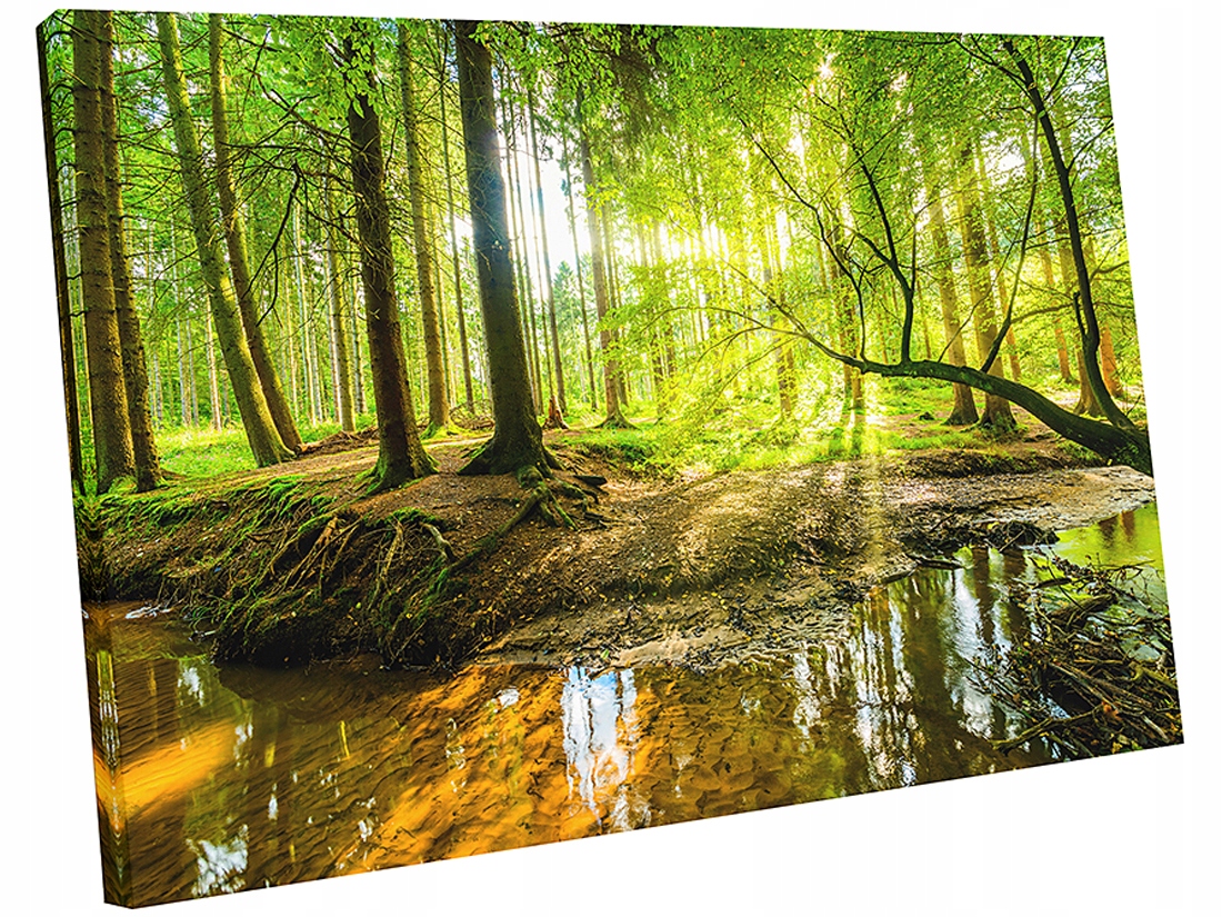 Obraz na plátne Les stromy hmla príroda 120x80 - Allegro