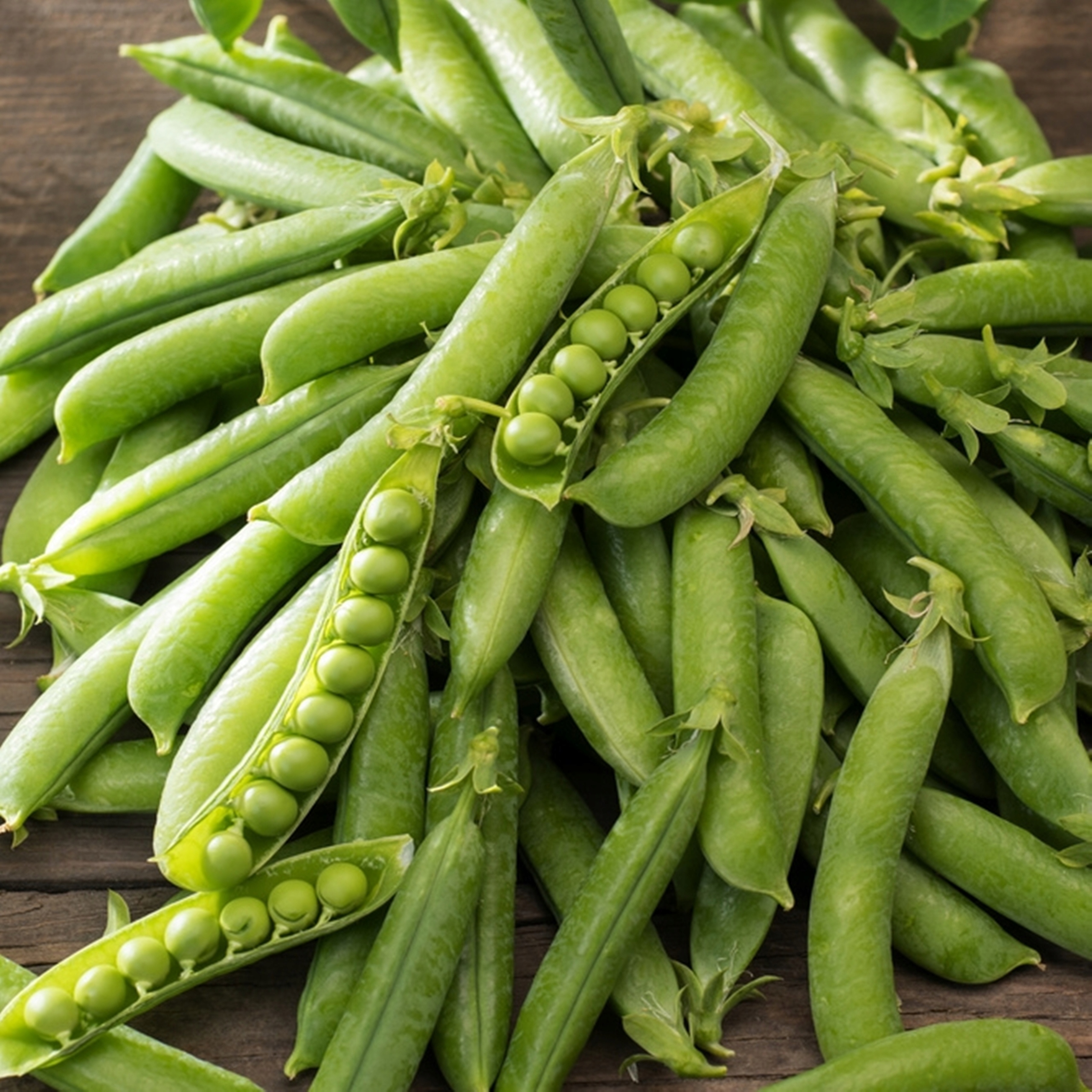 Nasiona PlantiCo groch siewny łuskowy 40 g (5901363407046) • Cena ...