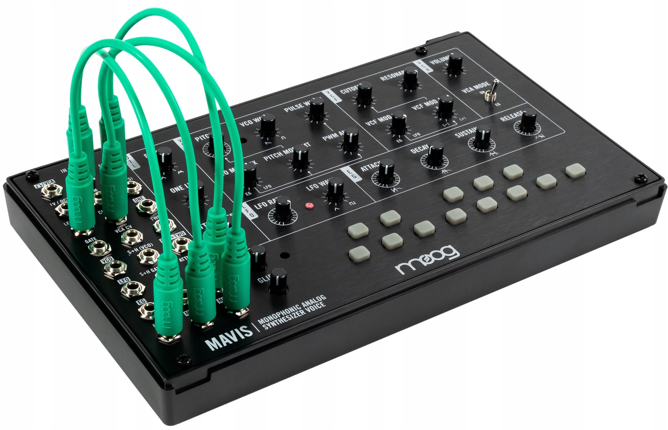 Moog Mavis - Niska cena na Allegro