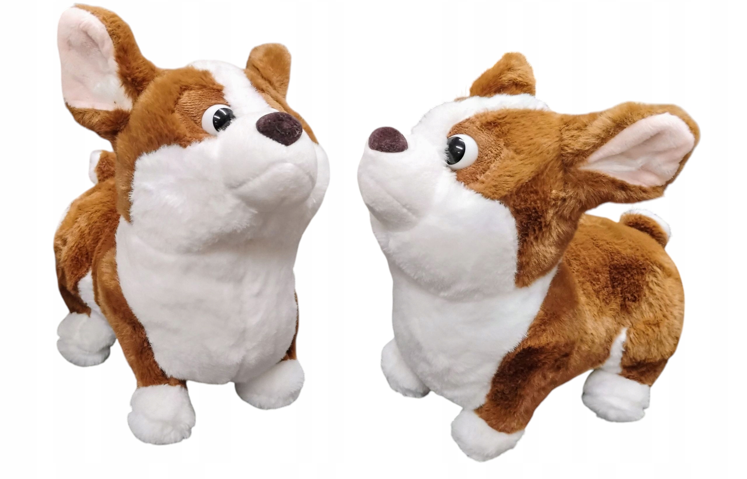 MASKOTKA DLA DZIECI PLUSZOWY MILUTKI PIESEK RASY CORGI 22CM E2685 EMAJ ...