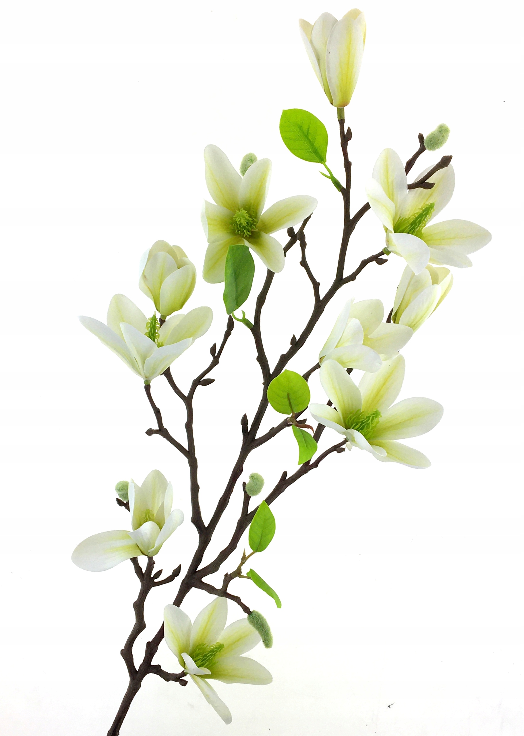 MAGNOLIA GUMOWANA BIALA GAŁĄZKA 80 cm jak NATURALNA PREMIUM (22) • Cena ...