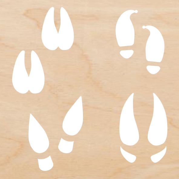 Ślady Elfa - Niska cena na Allegro.pl