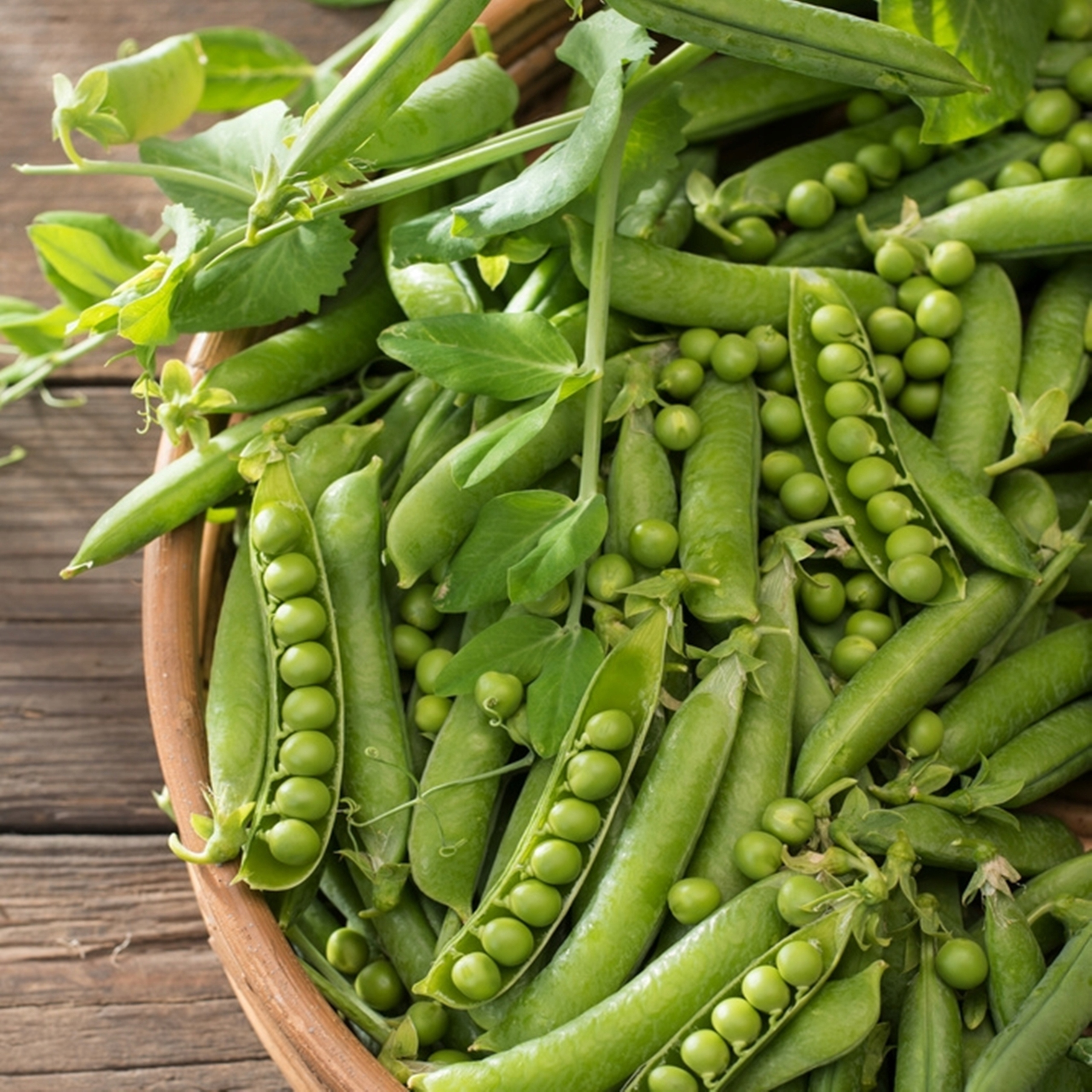 Groch i bób walor nasiona 50 g - porównaj ceny - Allegro.pl