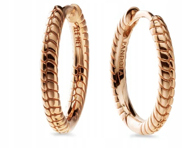 Malé náušnice s obručemi Pandora Moments Charm - Allegro