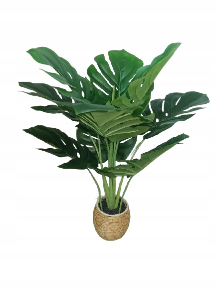 UMELÁ RASTLINA Monstera HOMLA 60 cm - Allegro