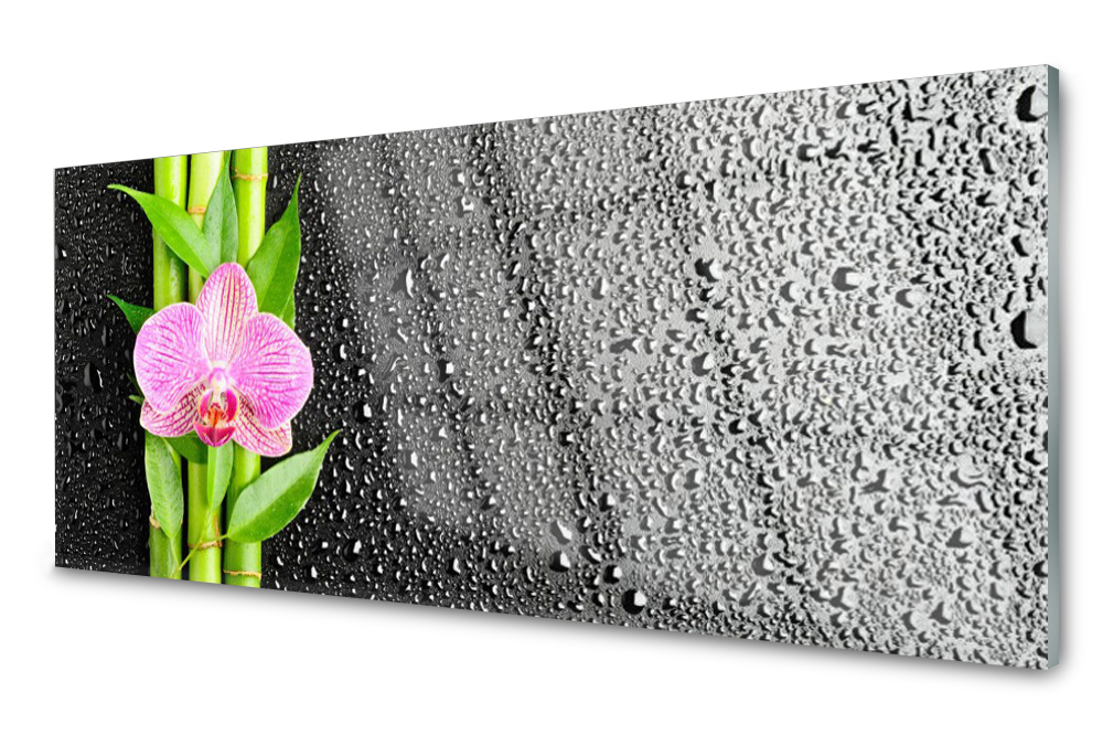 Üvegpanel konyhába Bambusz Szár Virág 125x50, • Ár, Vélemények - Allegro