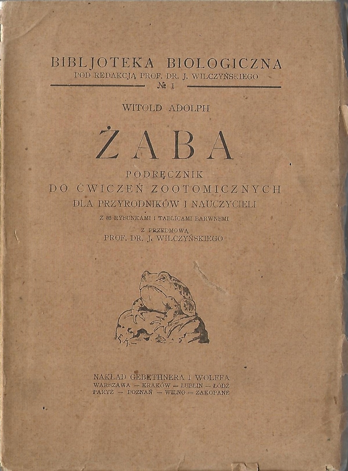 Żaba 1927 Witold Adolph - Niska cena na Allegro.pl