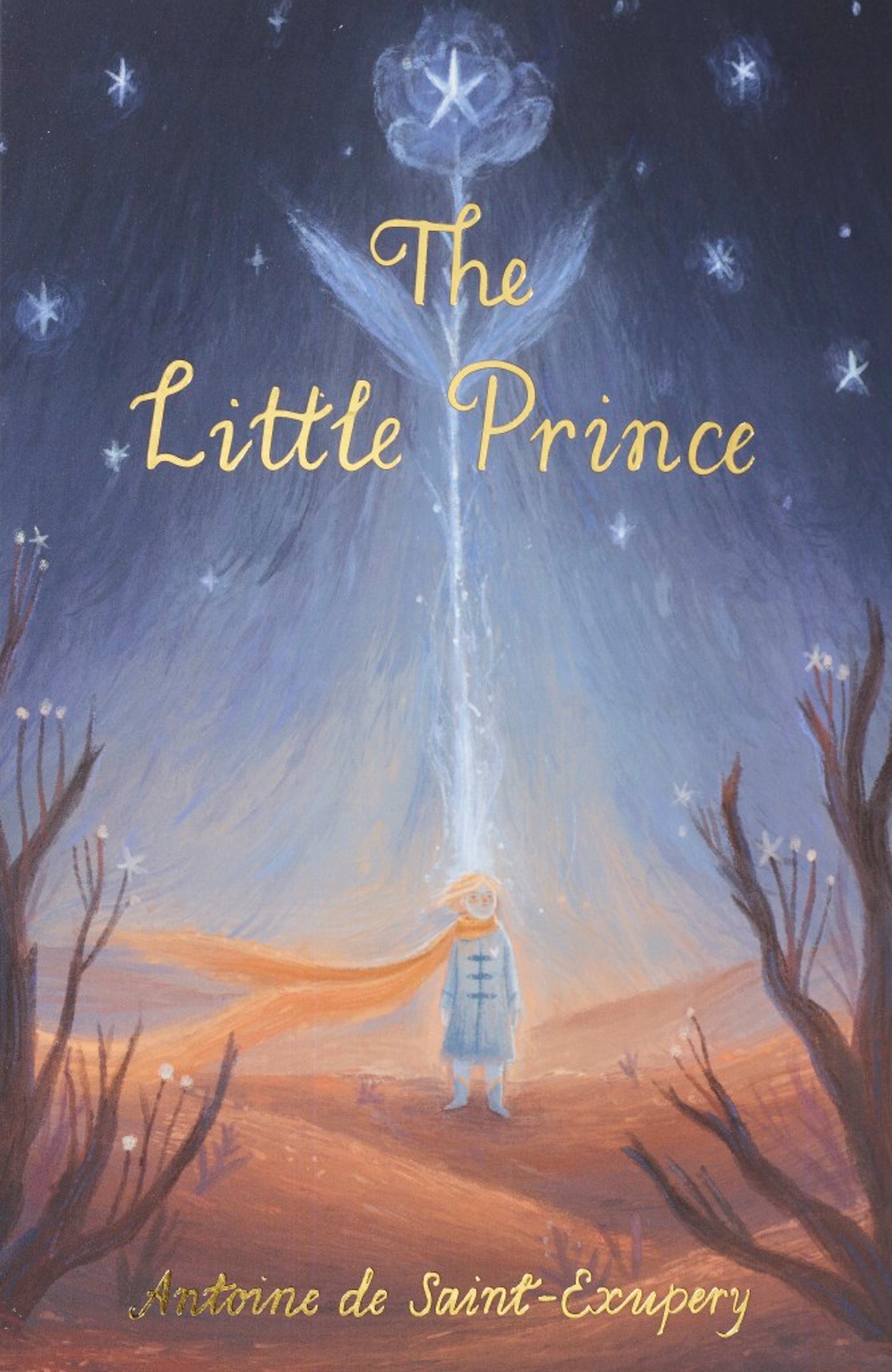 The Little Prince Antoine de Saint-Exupéry Książki dla dzieci ...