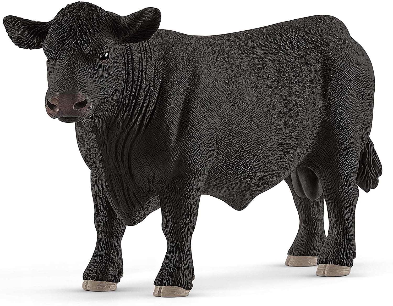 Byk Czarny Angus - Niska cena na Allegro.pl