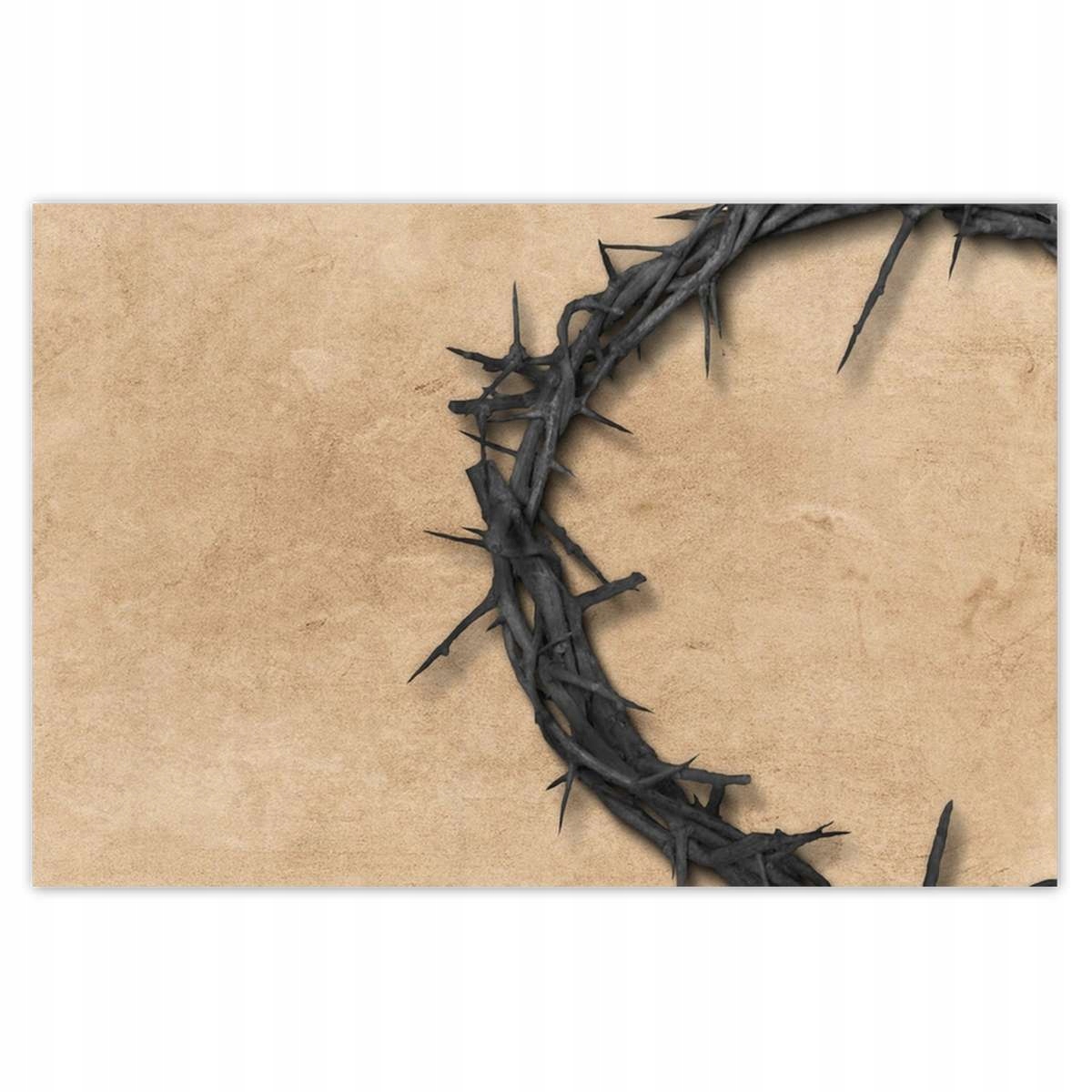 Samolepky 120x80 Trnová koruna Trny za 346.00CZK - Allegro