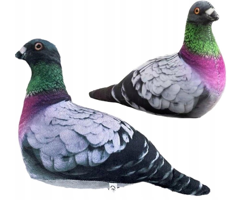 Maskotka Pluszowy Gołąb Pluszak Ptak Gołąbek 20cm 14372499080 - Allegro.pl