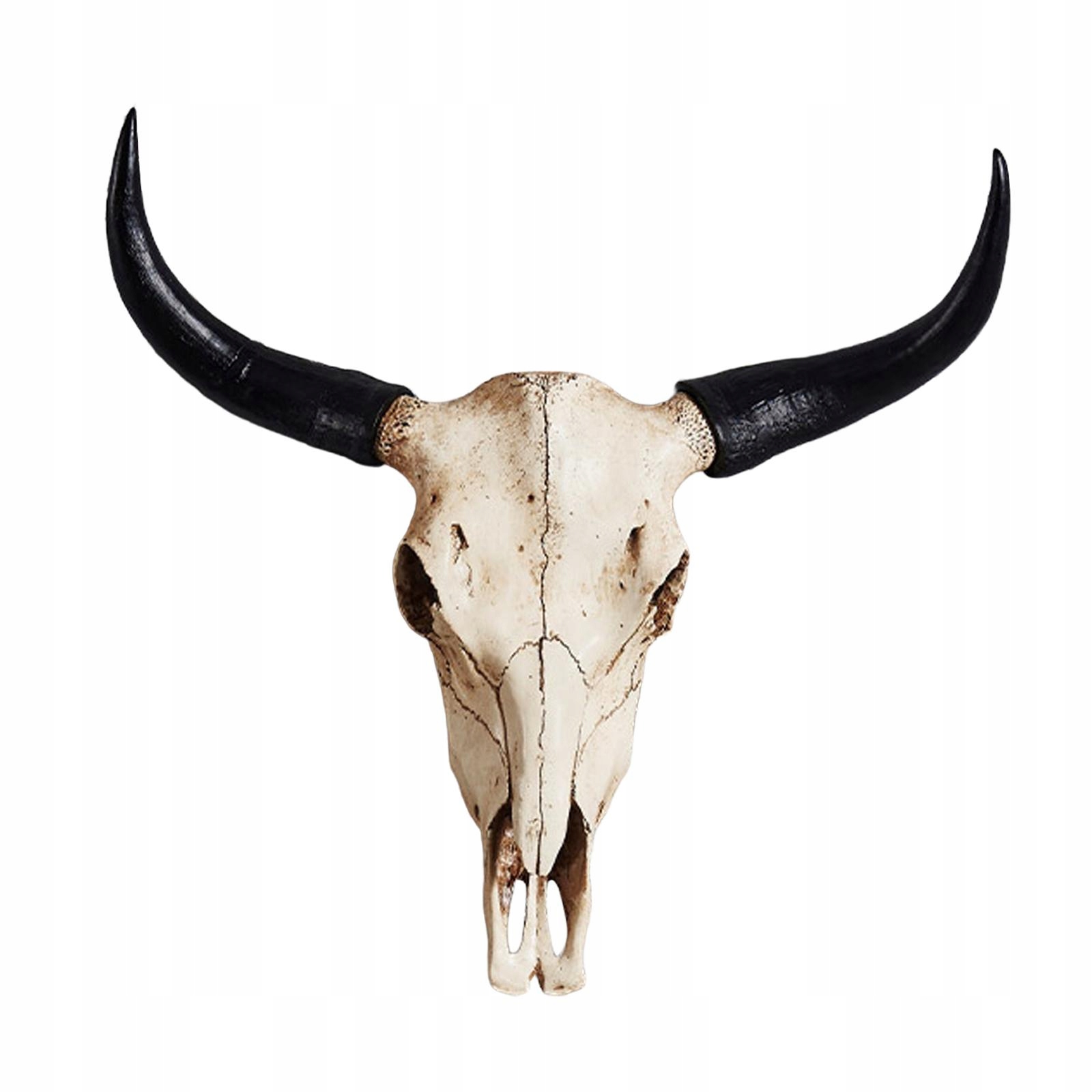 Byk Czaszka Głowa byka Statua Krowa Czaszka Ścienna Żywica 13630540545 ...