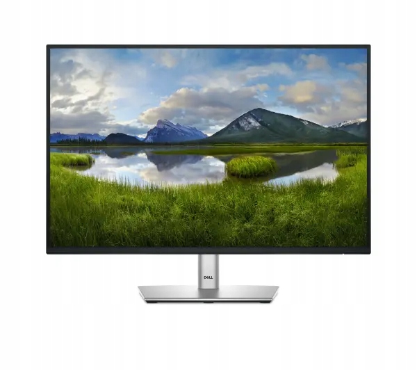DELL Monitor 24 cale P2425E 16:10 WUXGA/HDMI/USBC/DP/RJ45/USB/3Y ...