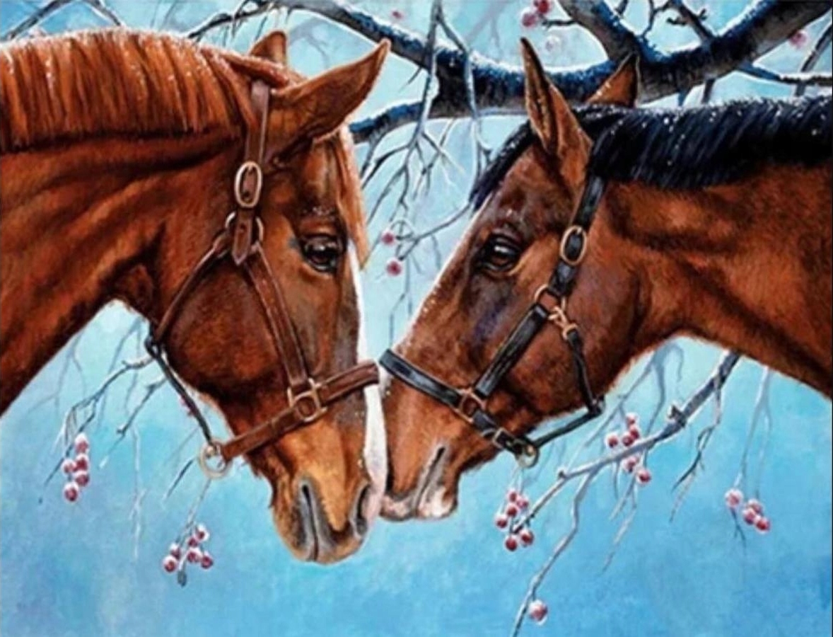 OBRAZ MALOWANIE PO NUMERACH RAMA 50X40CM DWA KONIE - porównaj ceny - Allegro.pl