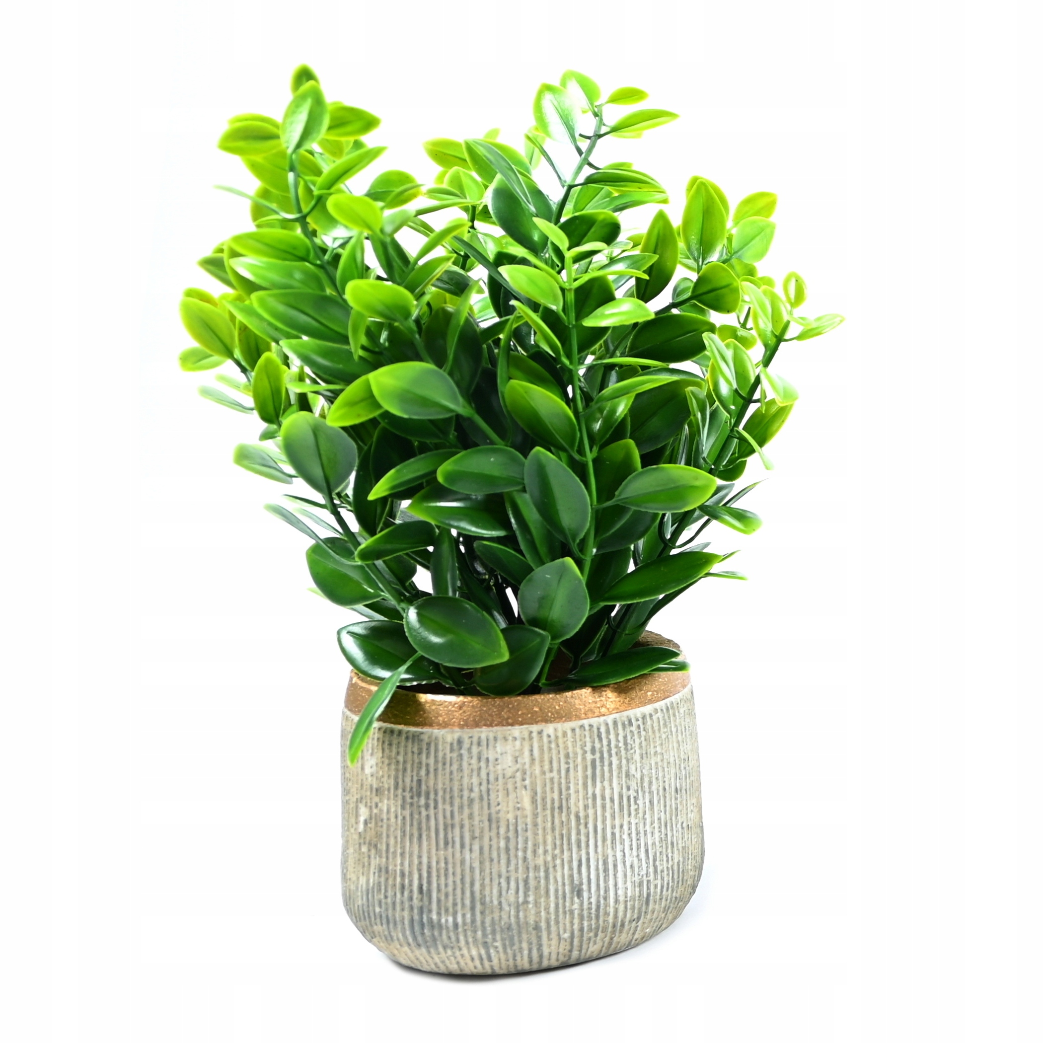 Zielony Parapet Doniczki - Niska cena na Allegro