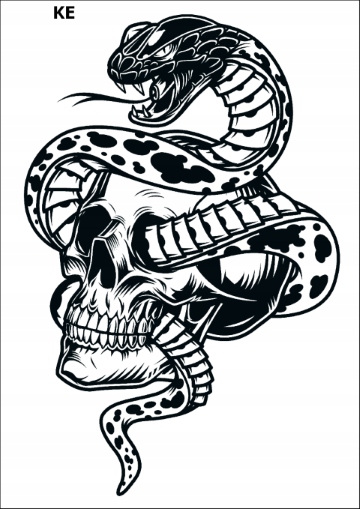 TATUAŻ ZMYWALNY CZASZKA WĄŻ szkielet kościotrup śmierć retro damski ...